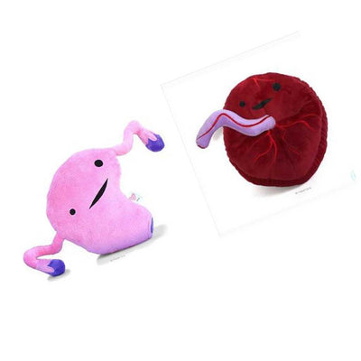 Plush Combo (Uterus and Placenta) - YourDoulaBag